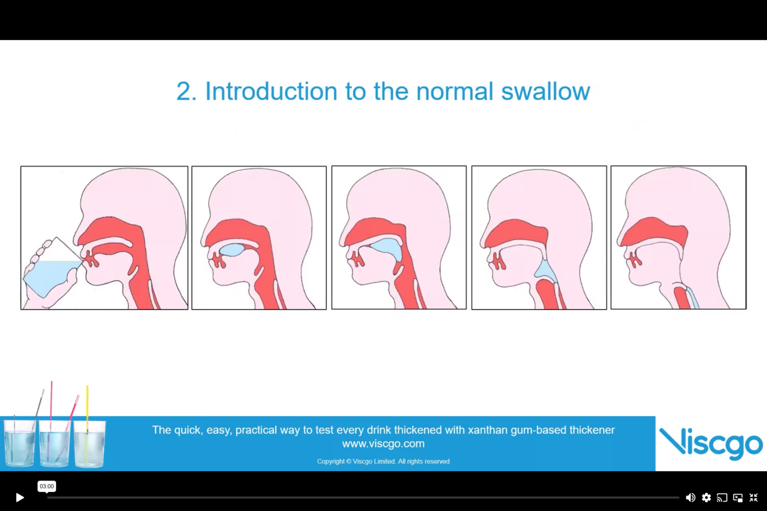 Dysphagia Training - Viscgo Limited
